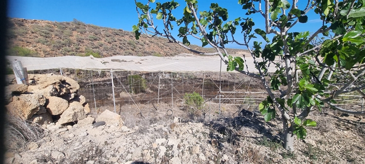 Buy a Farm & Cave Retreat In San Isidro